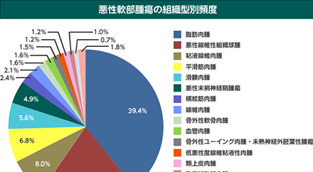 ヴォトリエント｜悪性軟部腫瘍（STS）｜医療関係者向け｜ノバルティス ファーマ